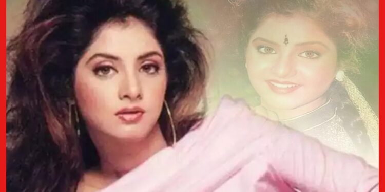 Divya Bharati: অল্পদিনেই ছুঁয়েছিলেন সাফল্য, জন্মদিনে ফিরে দেখা বলিউড ...