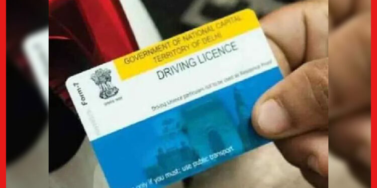 Driving License: বাড়িতে বসে ঝামেলা ছাড়াই বানান ড্রাইভিং লাইসেন্স! রইল ...
